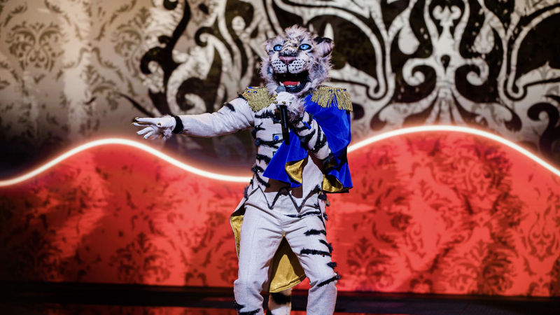 Volgens kijkers zitten déze BN'ers in de nieuwe Masked Singer-kostuums ...