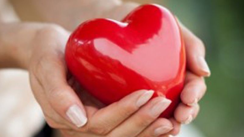 Hart voor je hart | Nouveau
