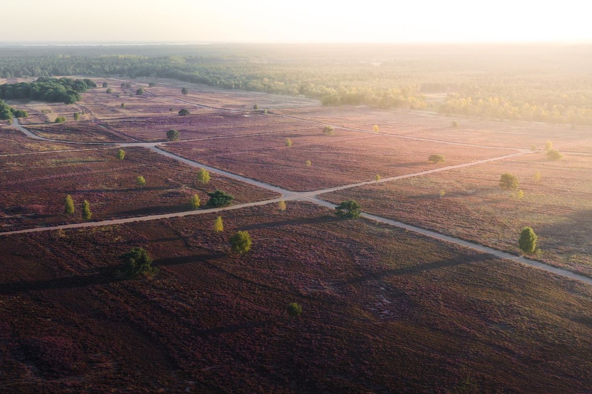 Luuk Koelman: 'Als we alle 'natuur' in Nederland weghalen, zijn we in ...