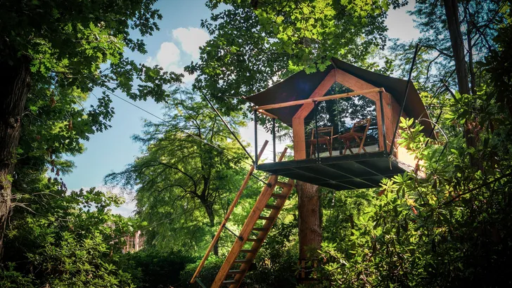 5 luxe boomhutten in België, voor een uniek verblijf in het bos | Nouveau
