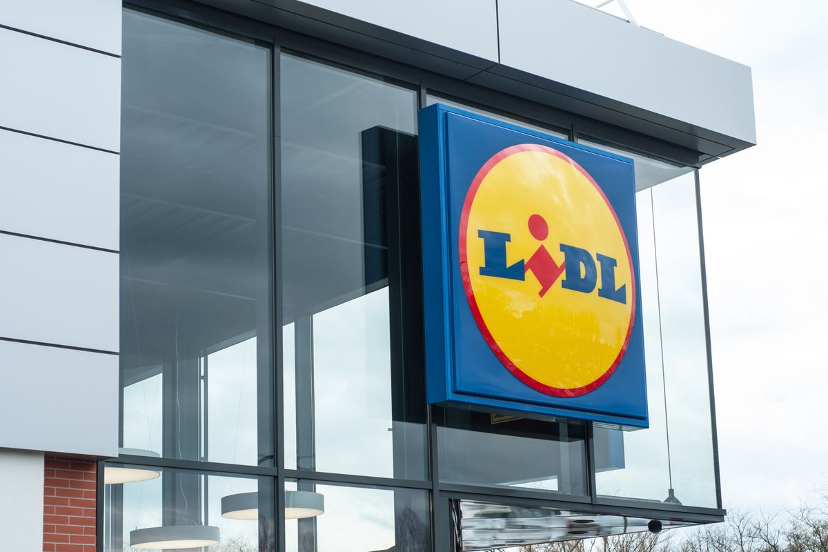Waarom 50 euro betalen voor een boom die uitvalt? Dit Lidl-alternatief ...