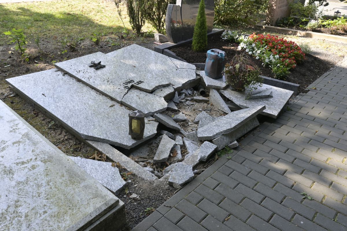 Mohamed B. (22) veroordeeld tot 40 maanden cel voor vernielen 117 graven | Panorama