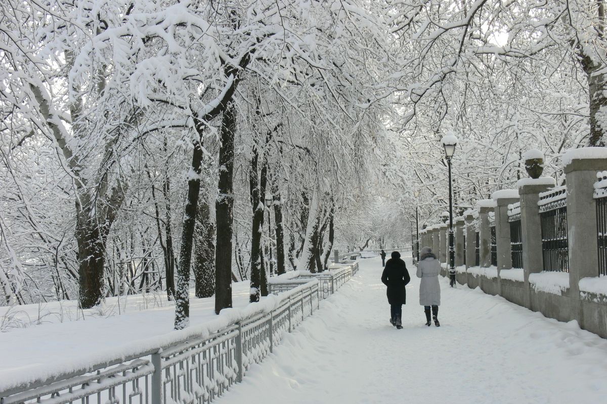 Why a walk in the snow is the ultimate reset for your brain – Archyde