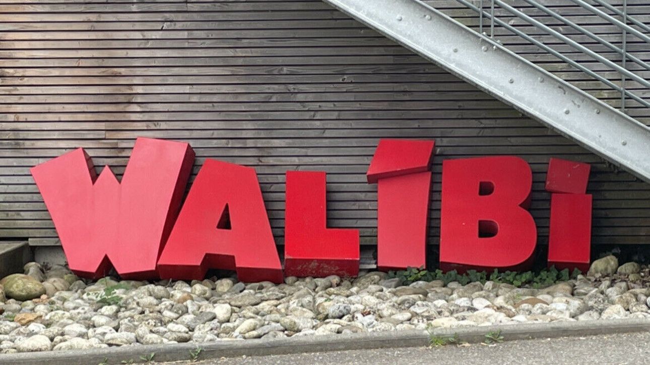 Geld over? Er wordt een enorm Walibi-logo geveild | Upcoming