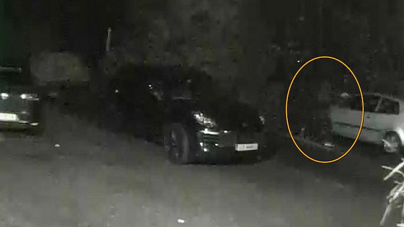 Het laatste middagmaal van Martin Kok | Panorama