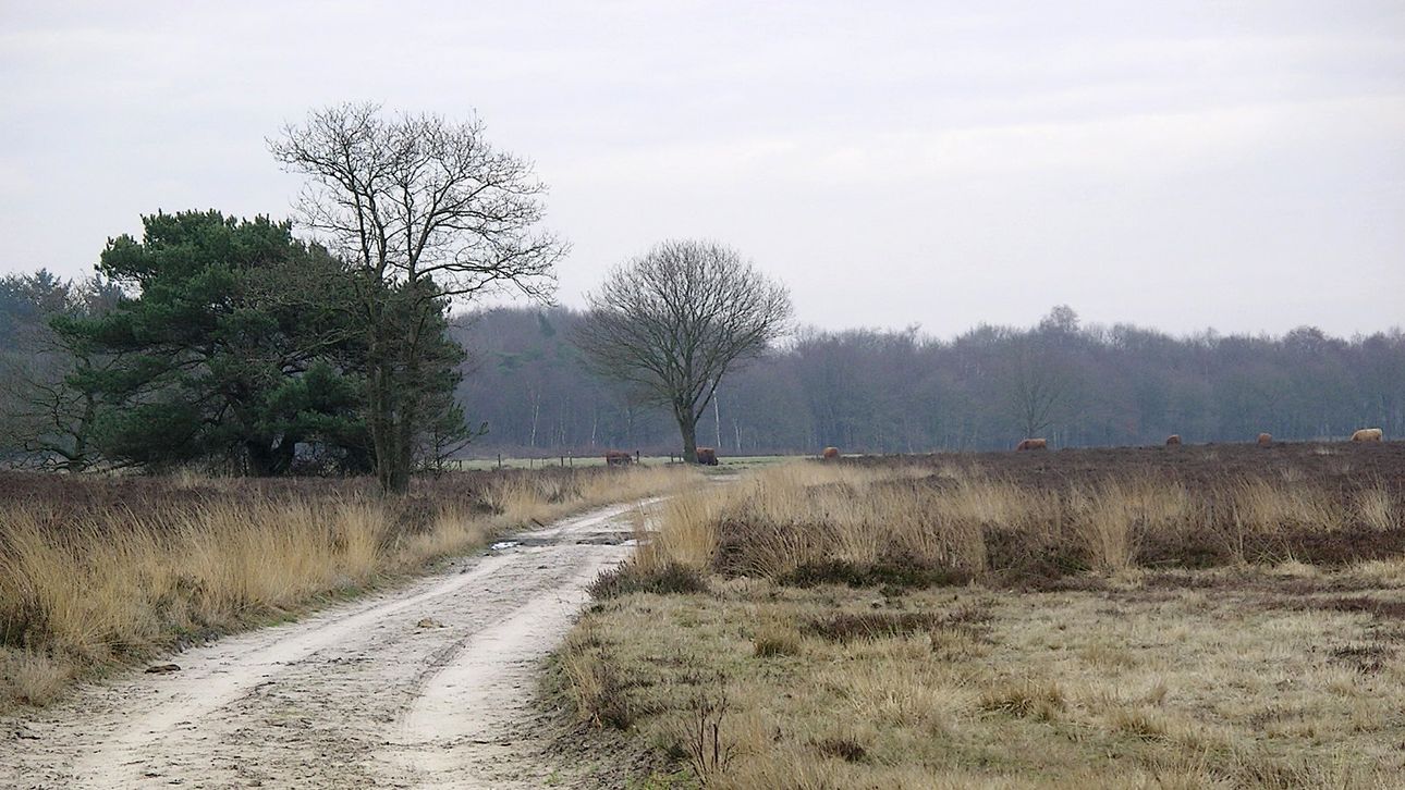 Wandelen door Nationaal Park Drentsche Aa | Noorderland