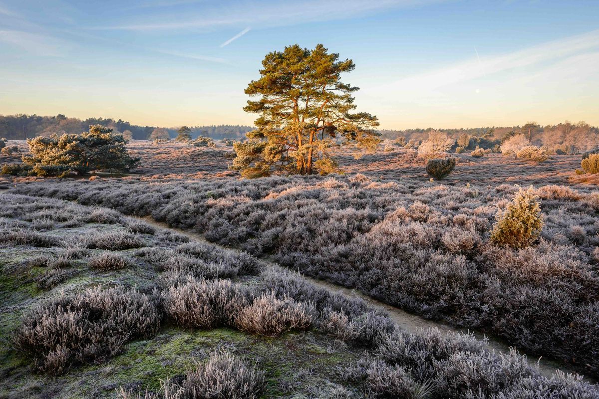 6 redenen om deze winter verliefd te worden op Drenthe | Noorderland