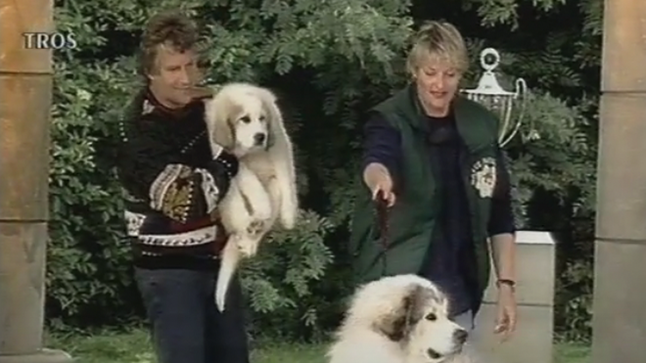 6 Redenen waarom de Natte Neuzen Show weer terug op TV moet | Upcoming