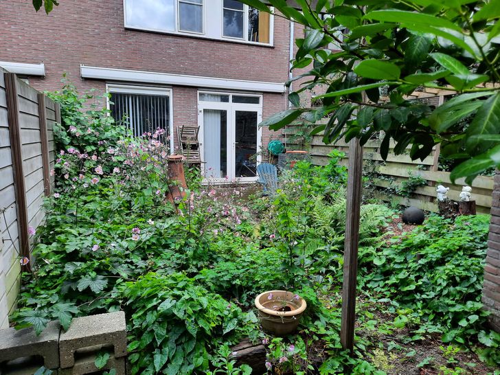 Spion Hans lag dagenlang dood in bad | Panorama