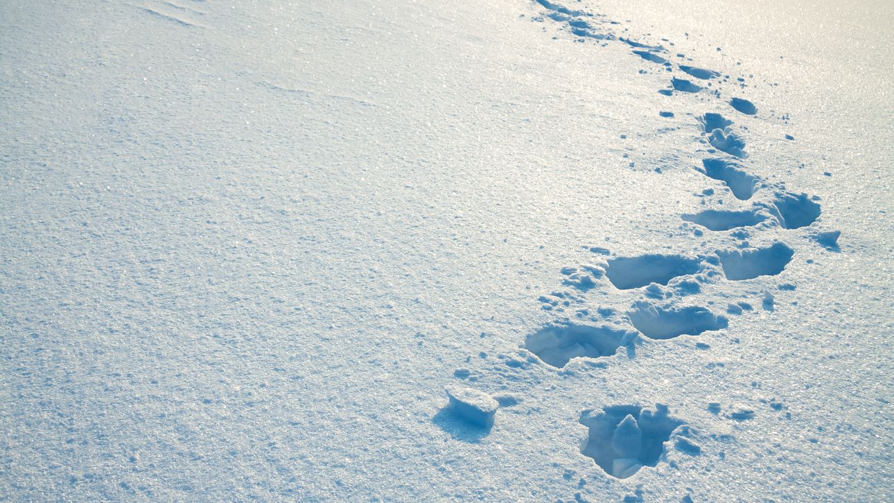 Een snijdend gemis | Nieuwe Revu