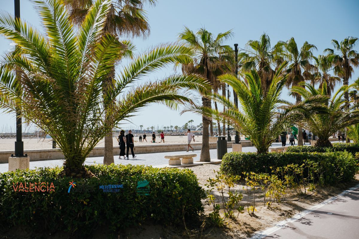 Cultuur snuiven in Valencia: deze plekken zijn zeker een bezoekje waard ...